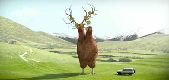 The Holy Chicken - Collateral