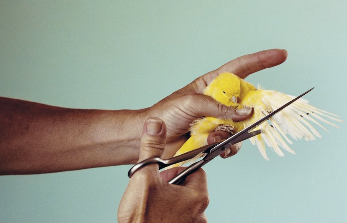 Toilet Paper - Maurizio Cattelan e Pierpaolo Ferrari - Art Magazine