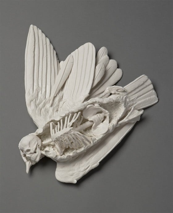 Porcelain Sculptures, le opere di Kate MacDowell | Collater.al