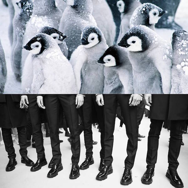 I collage dell'artista Naro Pinosa spagnolo | Collater.al