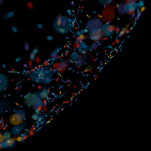 Le gif animate di Davidope | Collater.al