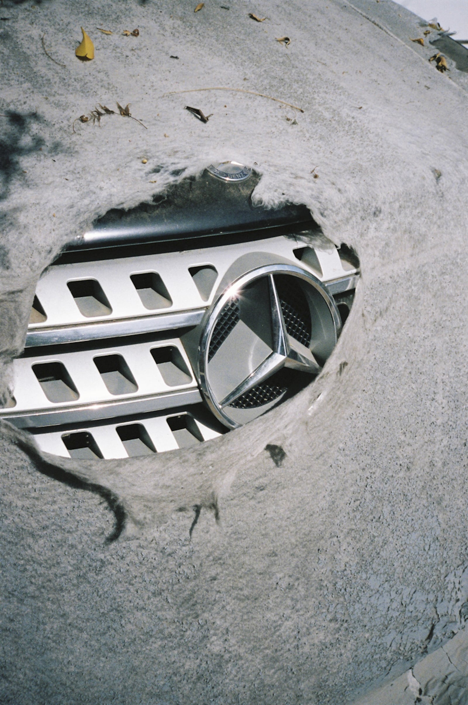 Good Luck With The Future, Dani Pujalte's view | Collater.al