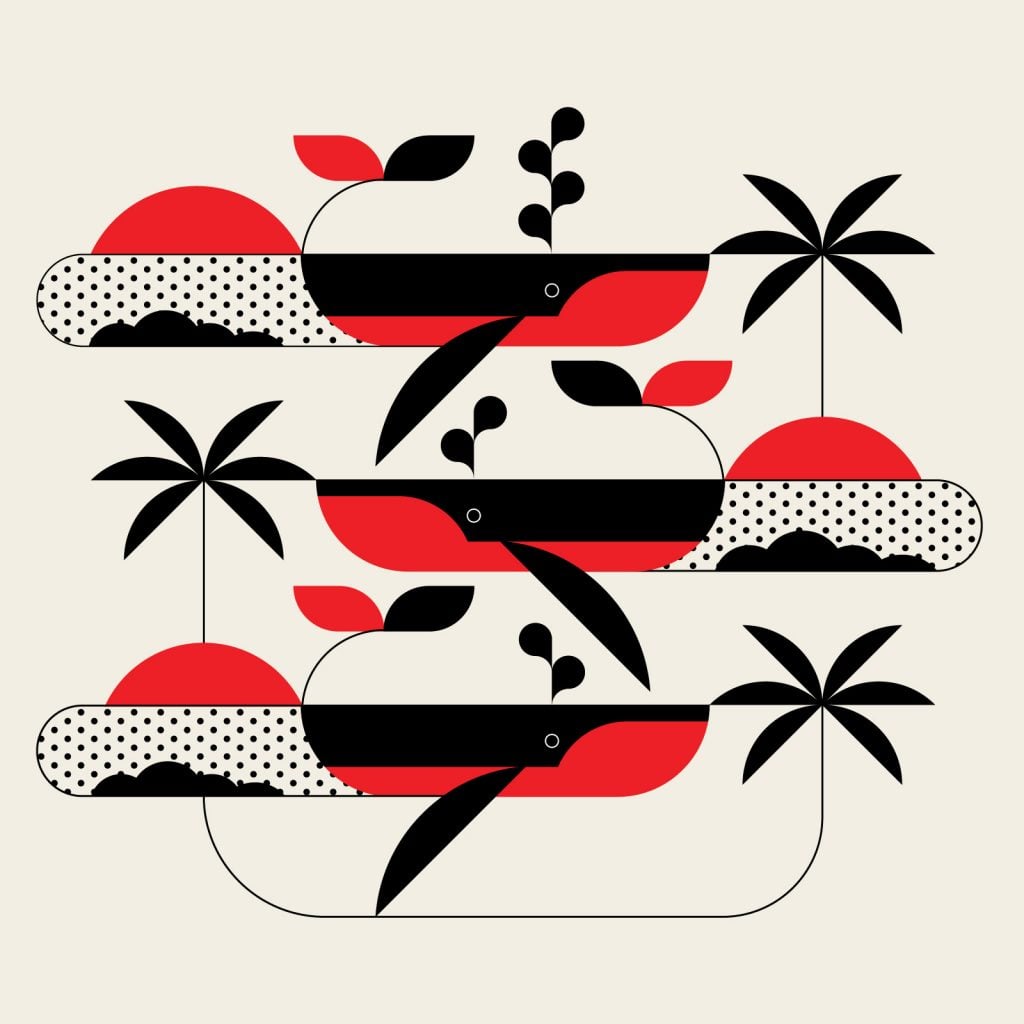 Animals Strike Curious Poses, the stylized animals by TRÜF | Collater.al