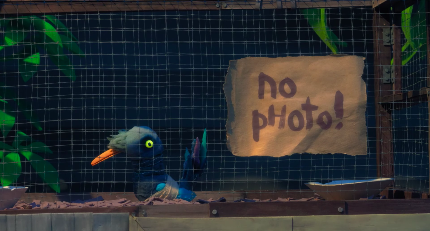 Birdlime, what happens when a bird lives in a cage? | Collater.al
