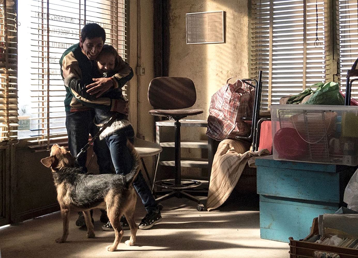 Cinematography - Dogman | Collater.al