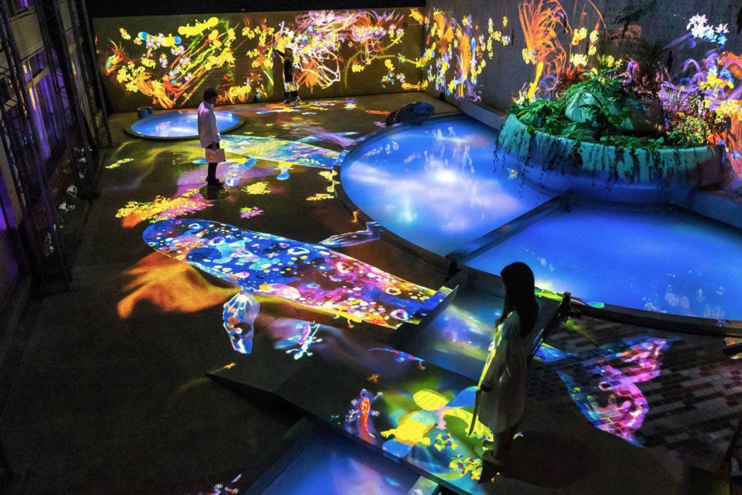 A Forest Where Gods Live, the art of teamLab returns to Japan | Collater.al