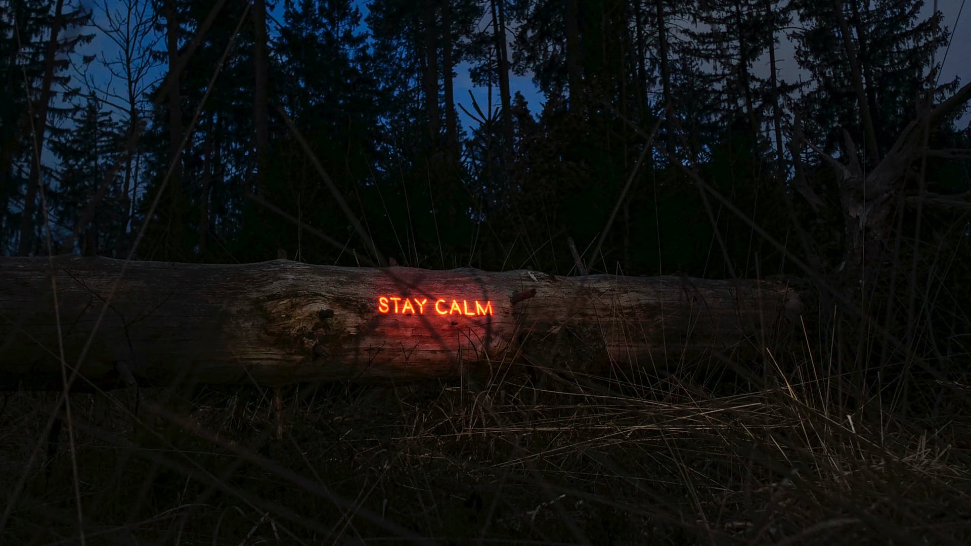 Philipp Frank and his light installations | Collater.al