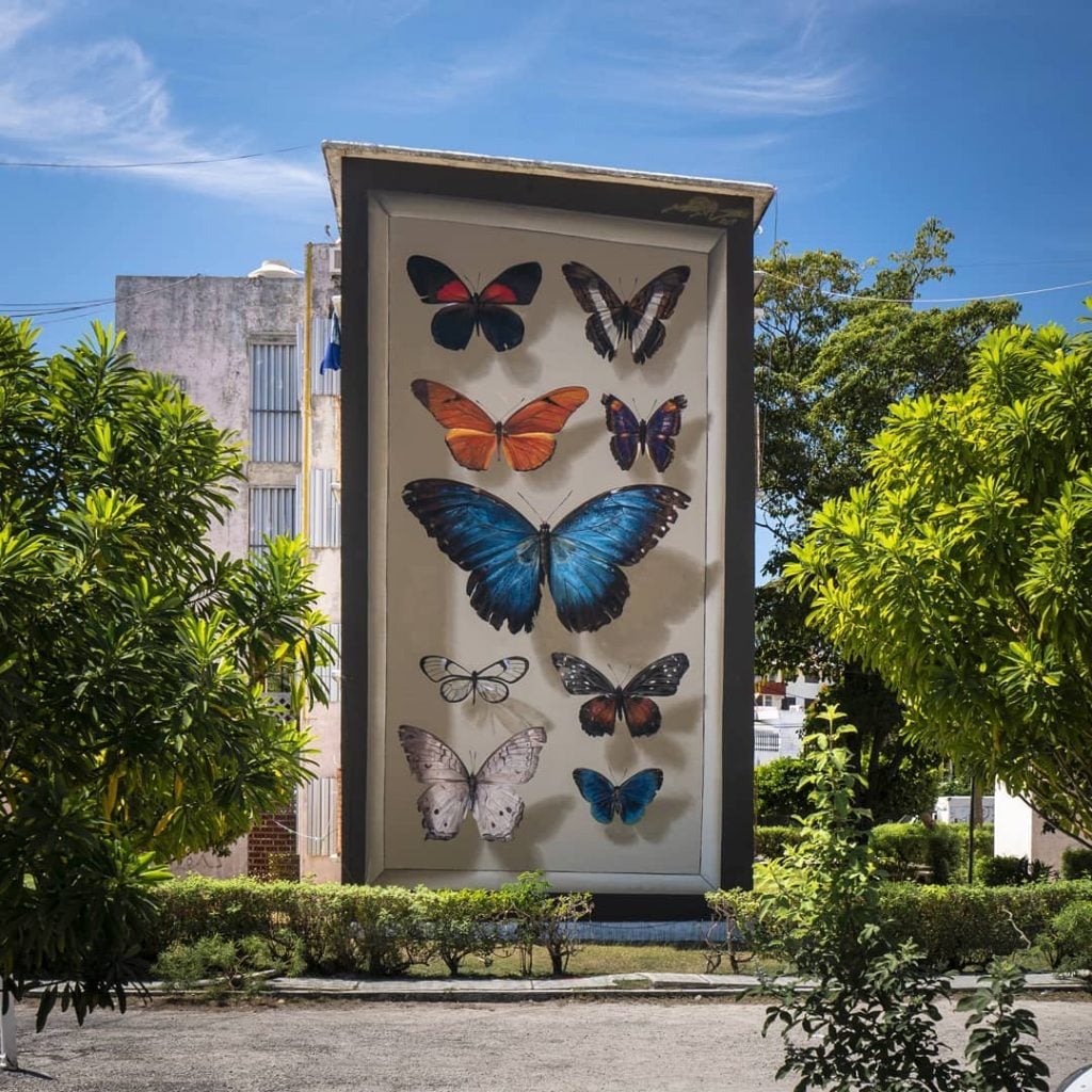 The butterflies of Youri Cansell in art Mantra | Collater.al
