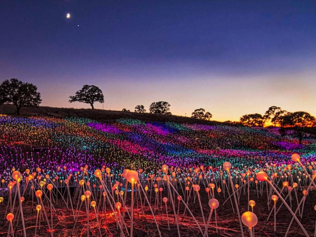 Bruce Munro illuminates California with "Light Tower" | Collater.al