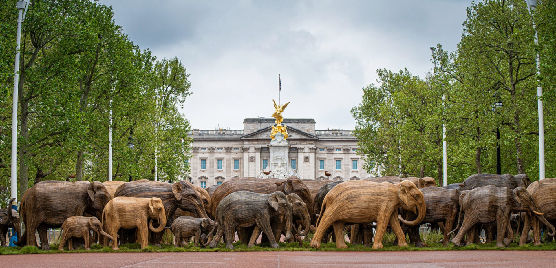 Hundreds of elephant sculptures invaded London | Collater.al