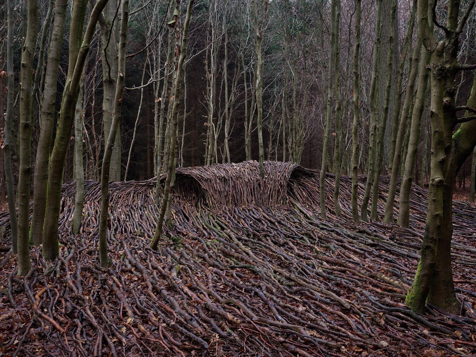 C19/18, the latest installation by Jörg Gläscher | Collater.al