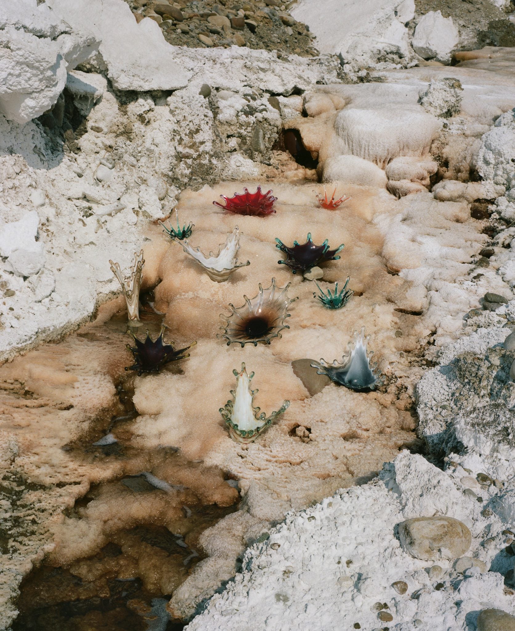 Synchrodogs' performative photography on show in Bologna | Collater.al