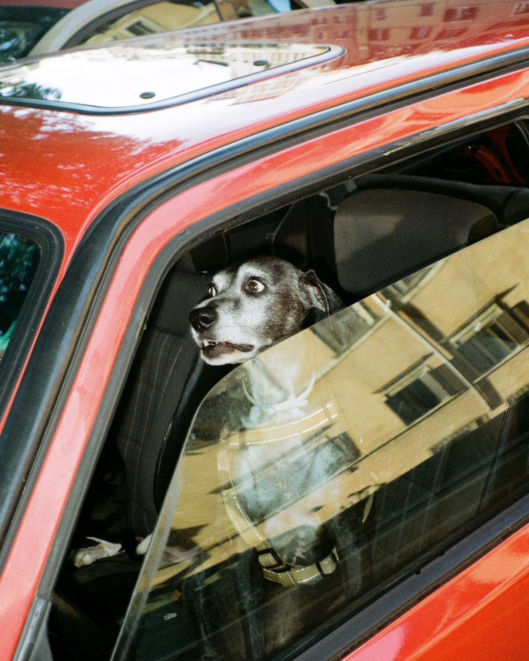 InstHunt – The 10 best photos on Instagram this week | Collater.al