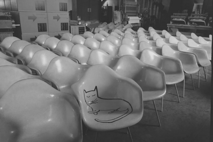 Saul Steinberg's cat returns | Collater.al