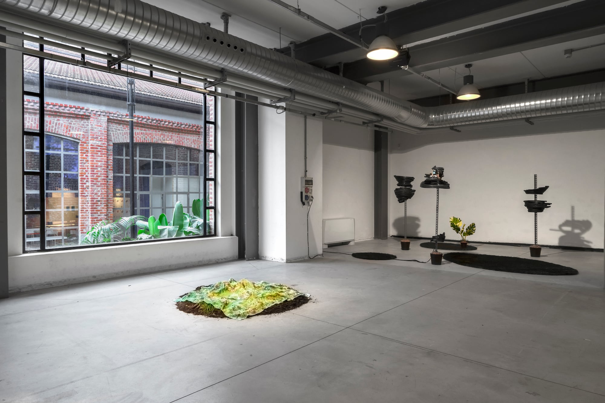ReA! Art Fair is back | Collater.al