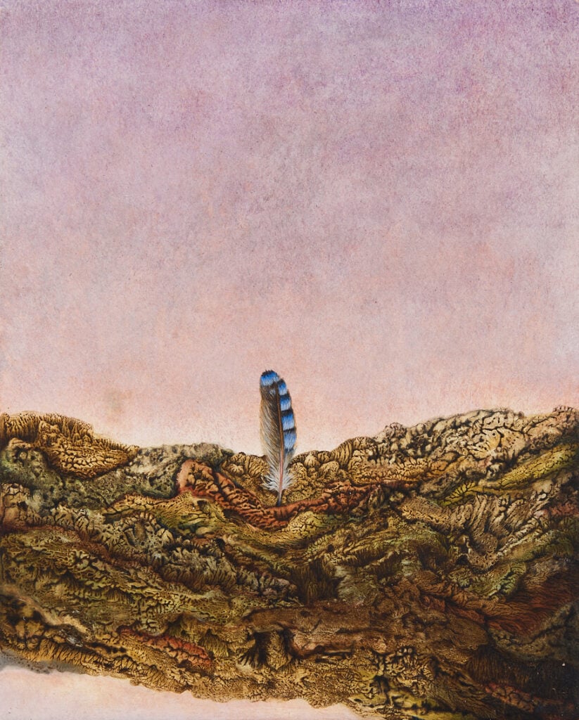 Tales from the Feathered Lands by Peter Fachini | Collater.al