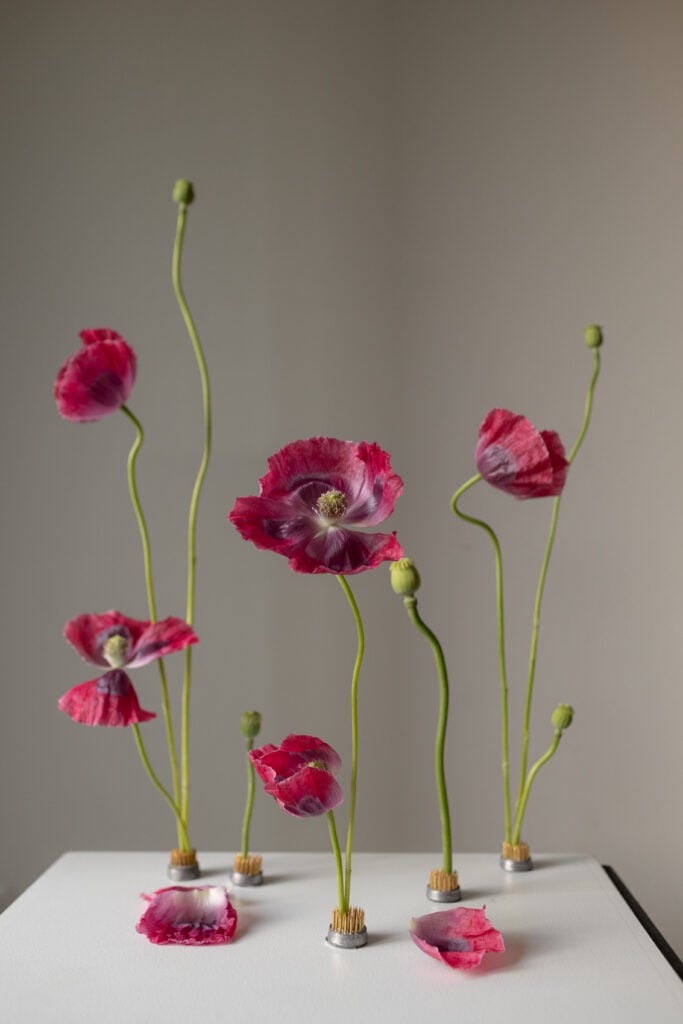 The New Frontier of Flower Design | Collater.al