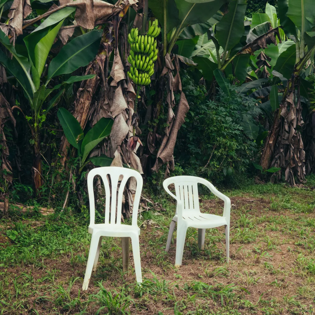 Monobloc: the chair that makes us feel at home | Collater.al
