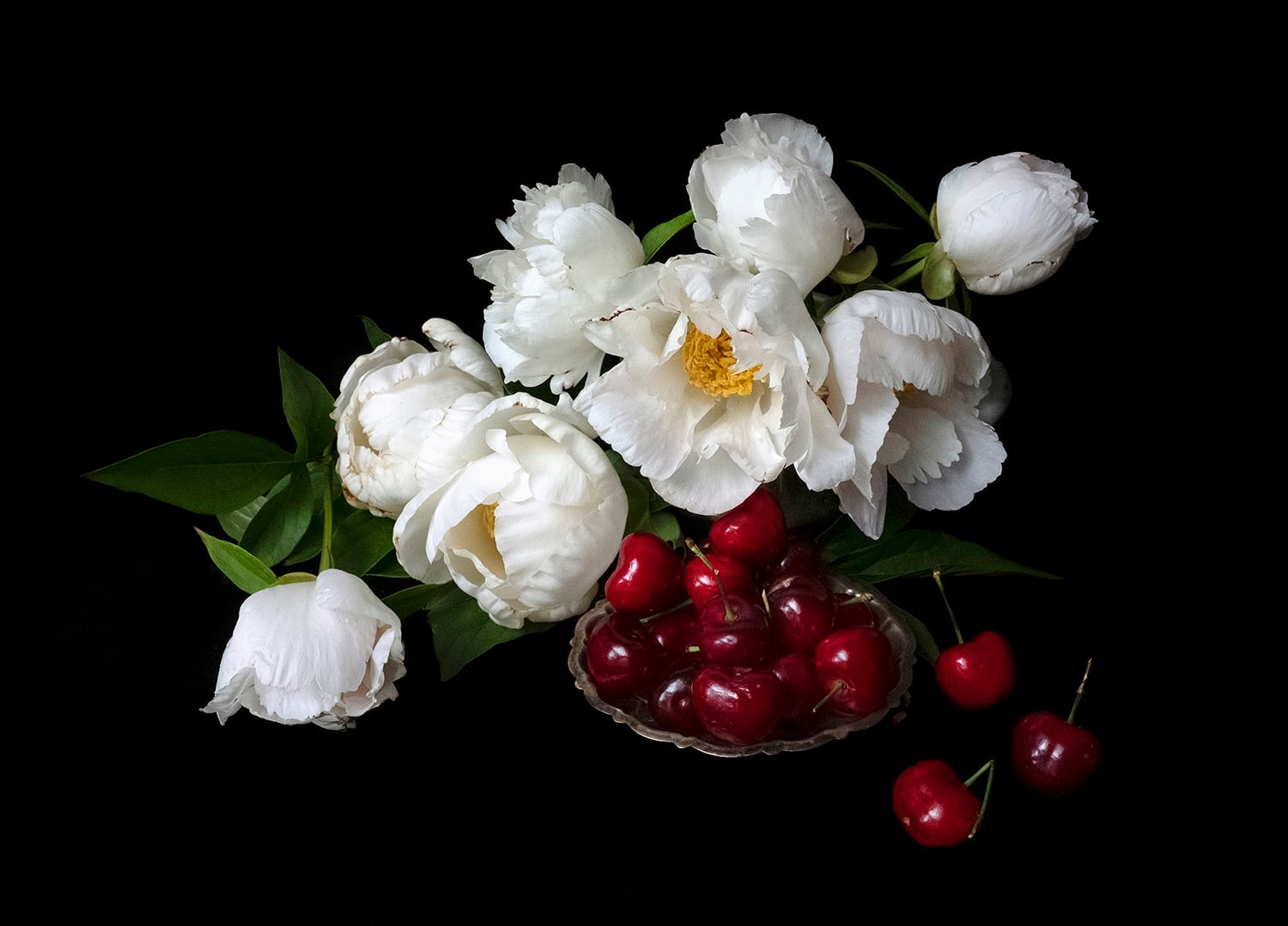 Jane Fulton Alt trasforma il lutto in still life | Collater.al